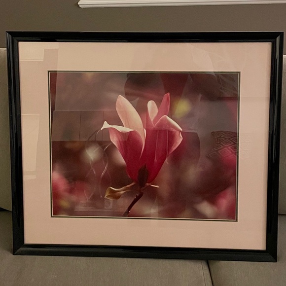 frank Matera | Wall Decor | Frank Matera Pink Jasmine Framed Artwork ...